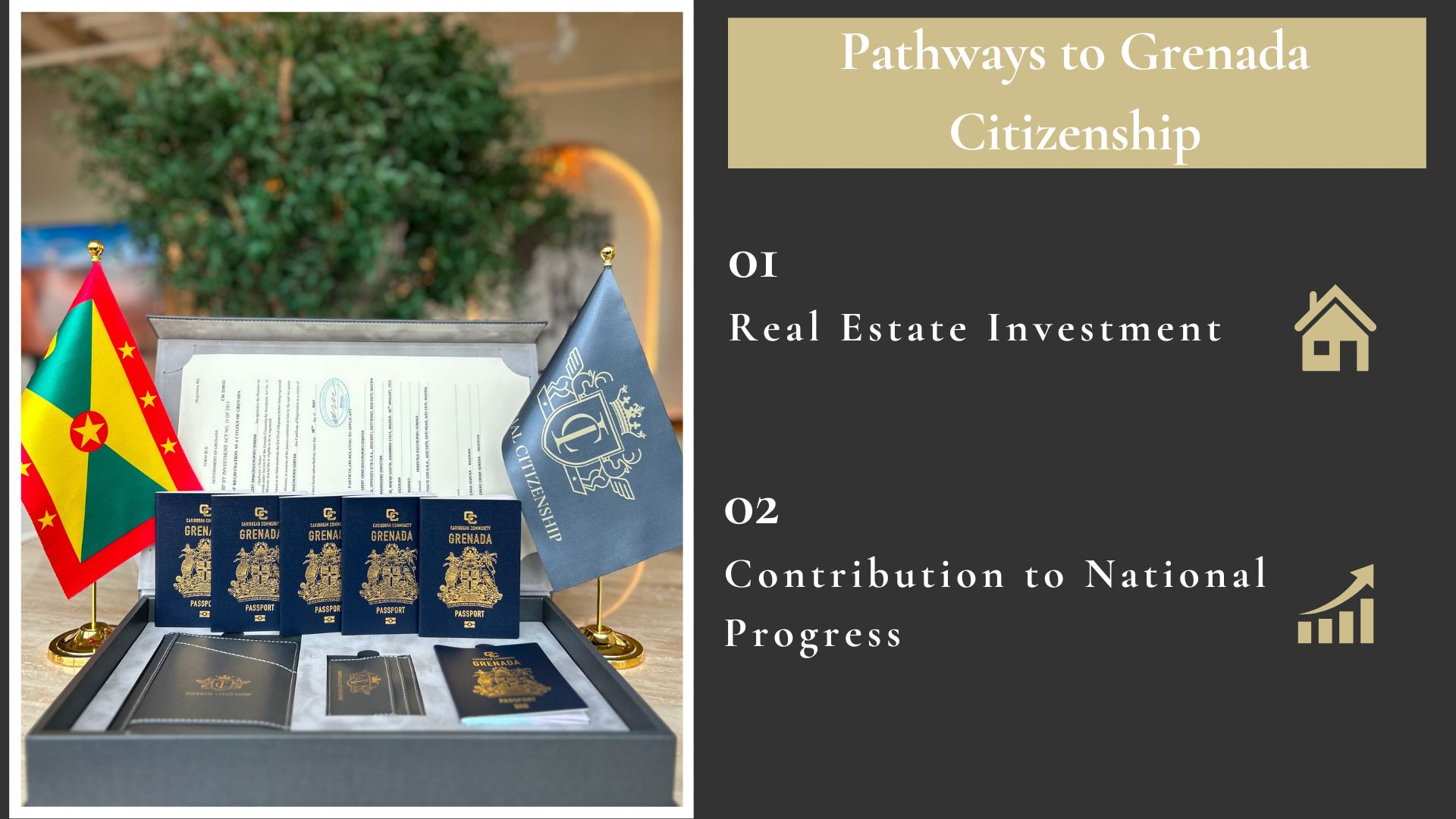 How to Obtain a Passport Grenada and Access Visa-Free Travel | Imperial ...