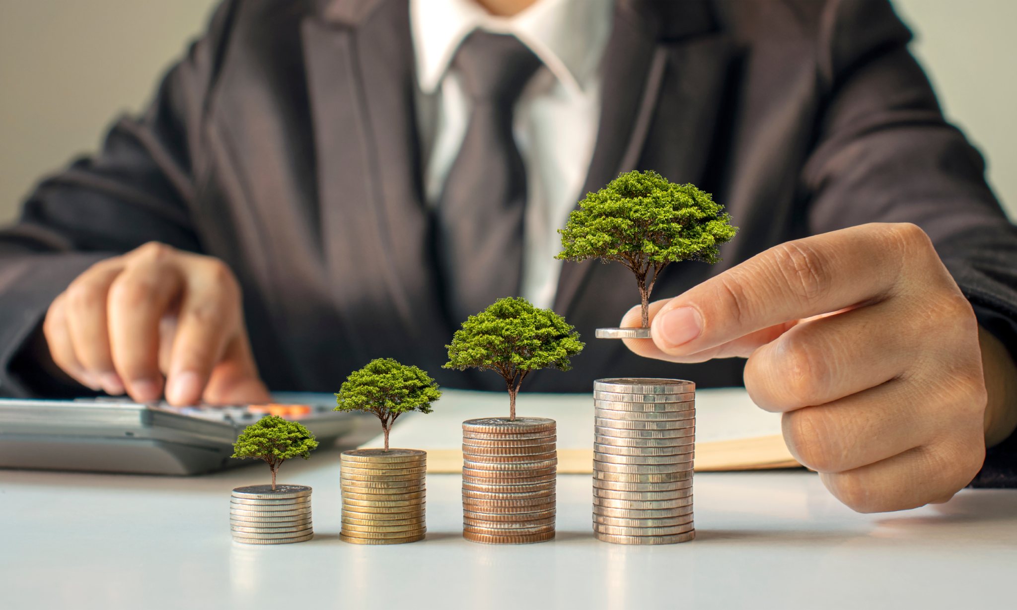 Real Estate or Government Donation: Which Caribbean CBI Path Is Right ...