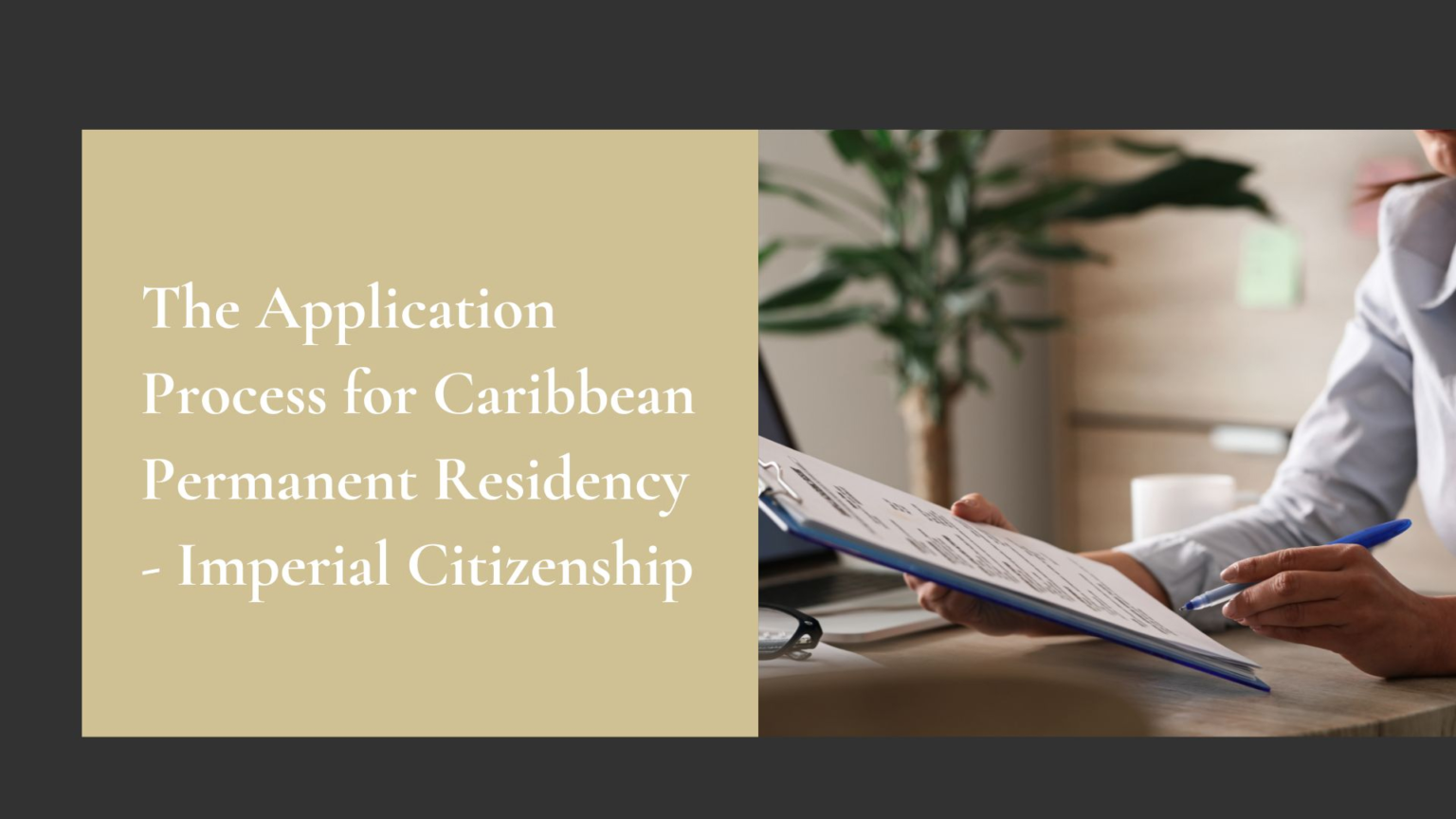Your Guide to Achieving Caribbean Permanent Residency: Steps, Benefits ...