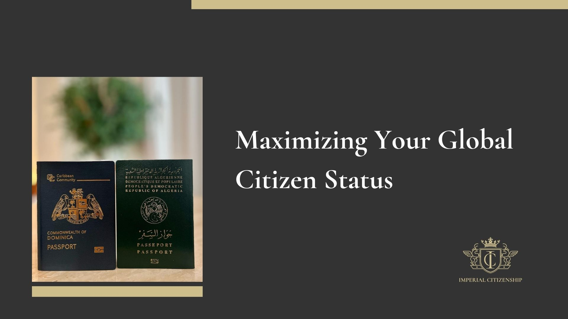 The Best Citizenship Programs for Global Investment in 2024 | Imperial ...