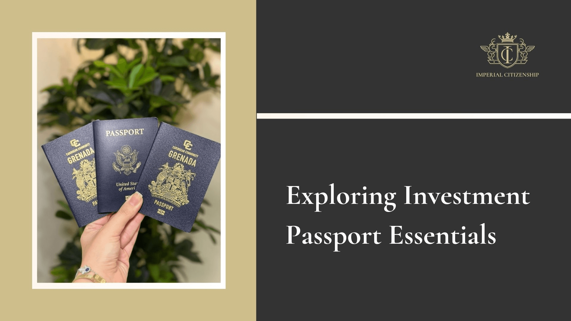 2024's Premier Investment Passport Programs: Gateway to Global ...