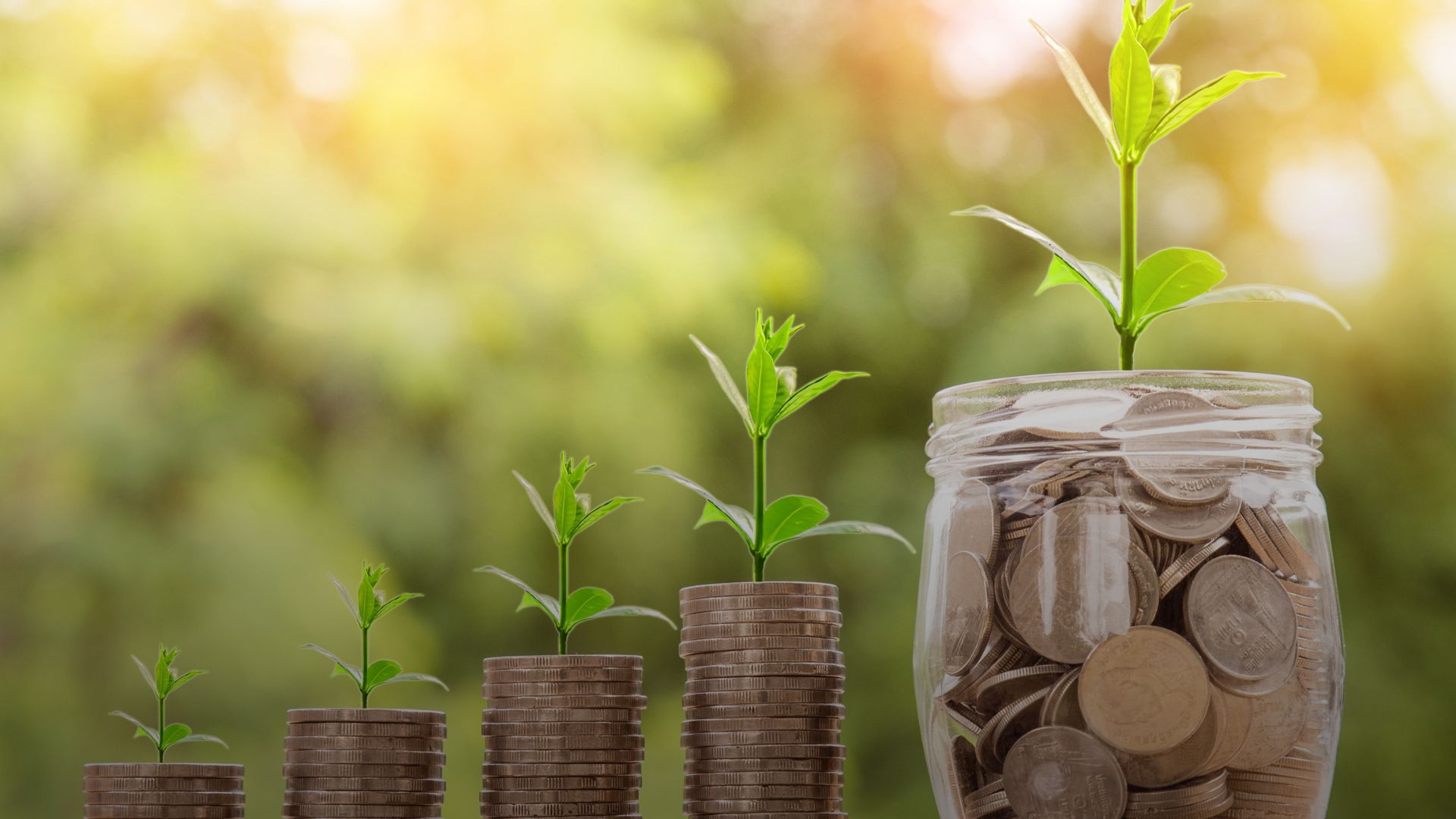 Wealth Management Strategies for Investors with Multiple Residencies