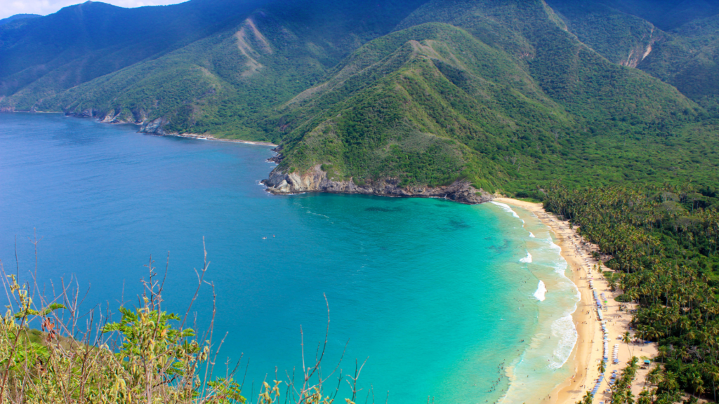 Venezuela’s Political Shift and the New Investment Landscape